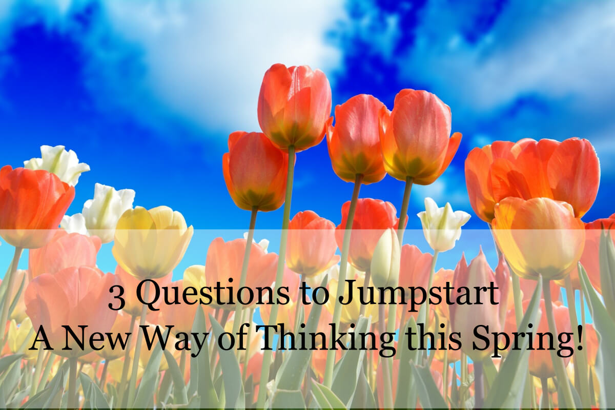 Ask Yourself These 3 Questions and Jumpstart a New Way of Thinking this ...