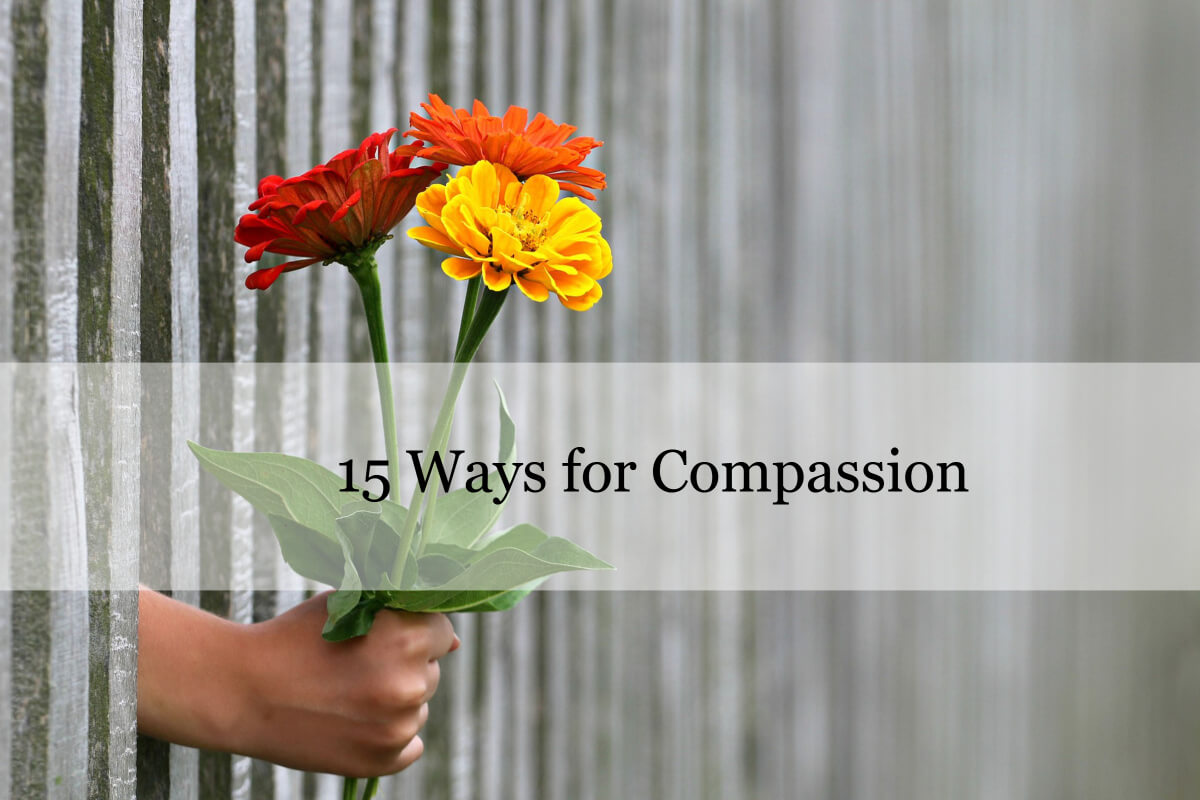 15 Ways for Compassion - Heart of the Matter Professional Organizing